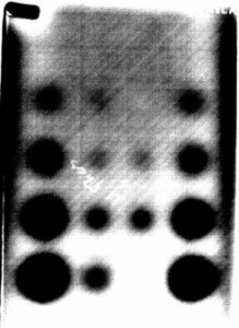 What is flash thermography? - moviTHERM