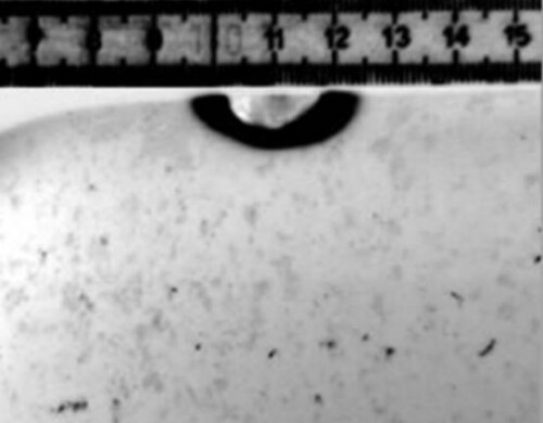 What is flash thermography? - moviTHERM