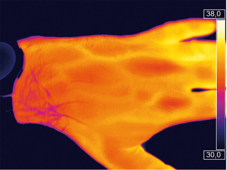 Optris PI 400i - moviTHERM