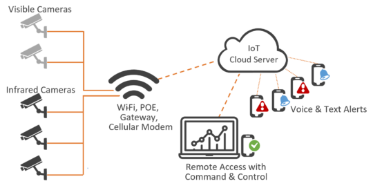 Cargo Fire Suppression: A Strong Shield, but is it Enough? - MoviTHERM